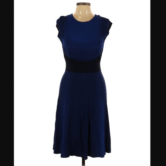 Muse | Dresses | Blue Aline Dress | Poshmark